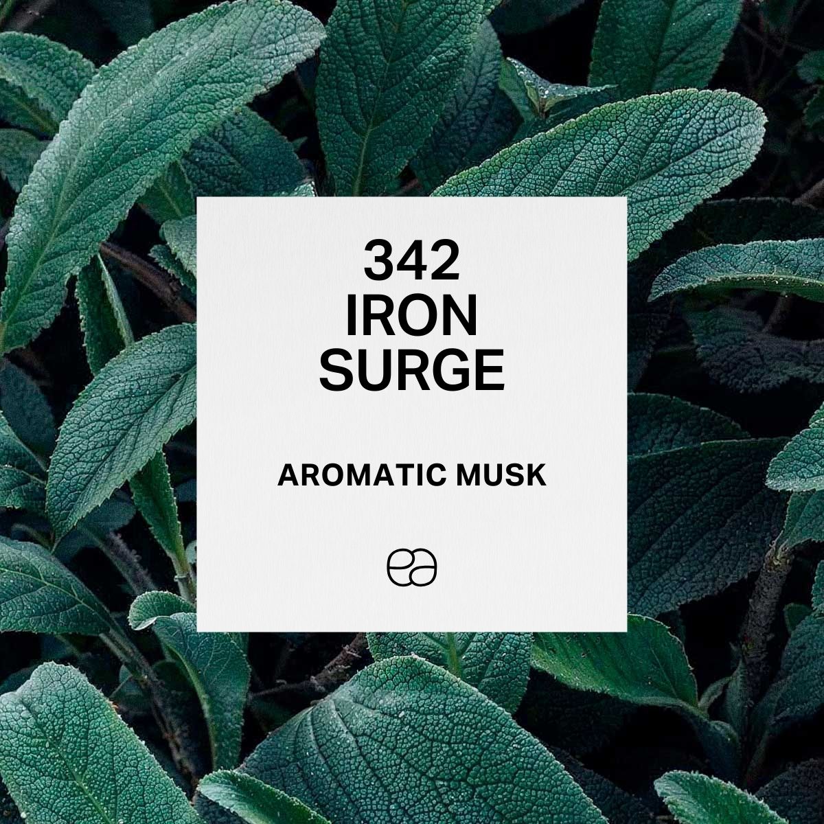 342 Iron Surge | Equivalenza